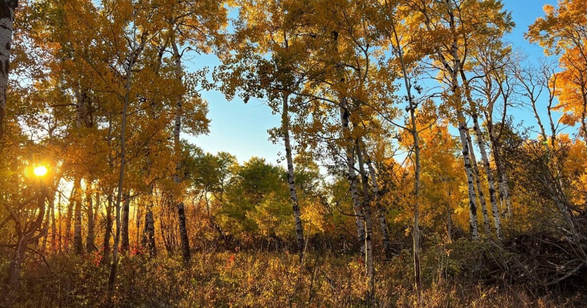 Land Investor Guide | 2023 Letter From The Publisher & Market Update