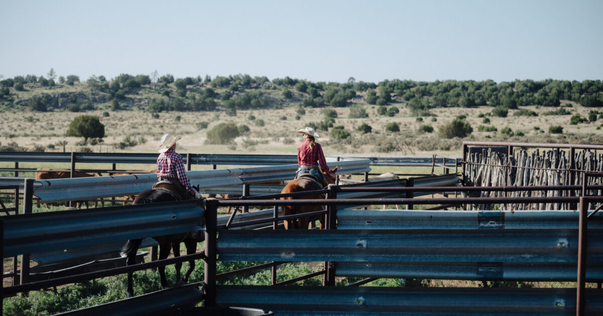 Land Investor Guide | Choosing the Best Ranch Management Plan: Key…
