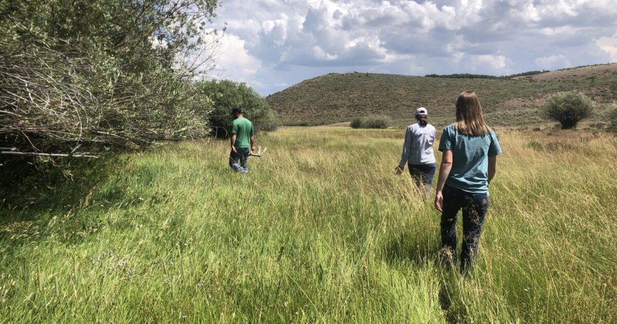 Land Investor Guide | How to Draft a Ranch Management Plan in Five…