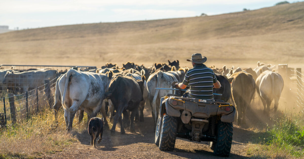 Land Investor Guide | Navigating Ranch Bookkeeping