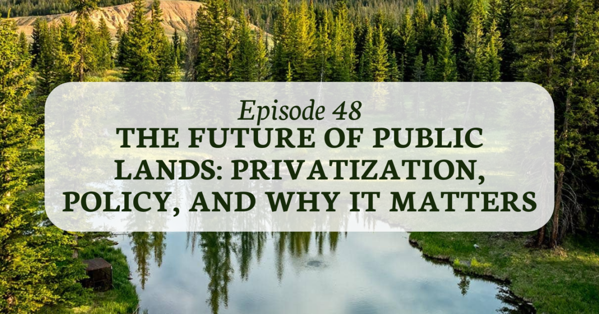 Land Investor Guide | Public Lands: Policy & Privatization Explained