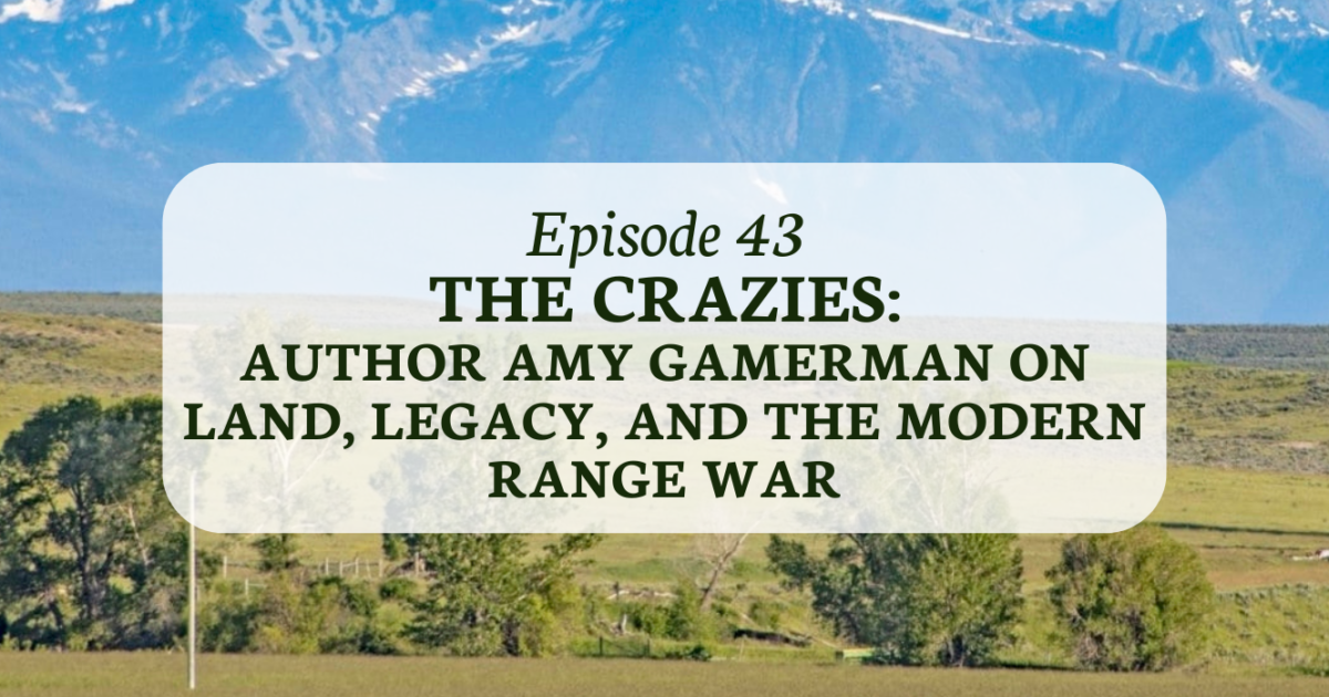 Land Investor Guide | The Crazies: Author Amy Gamerman on Land,…