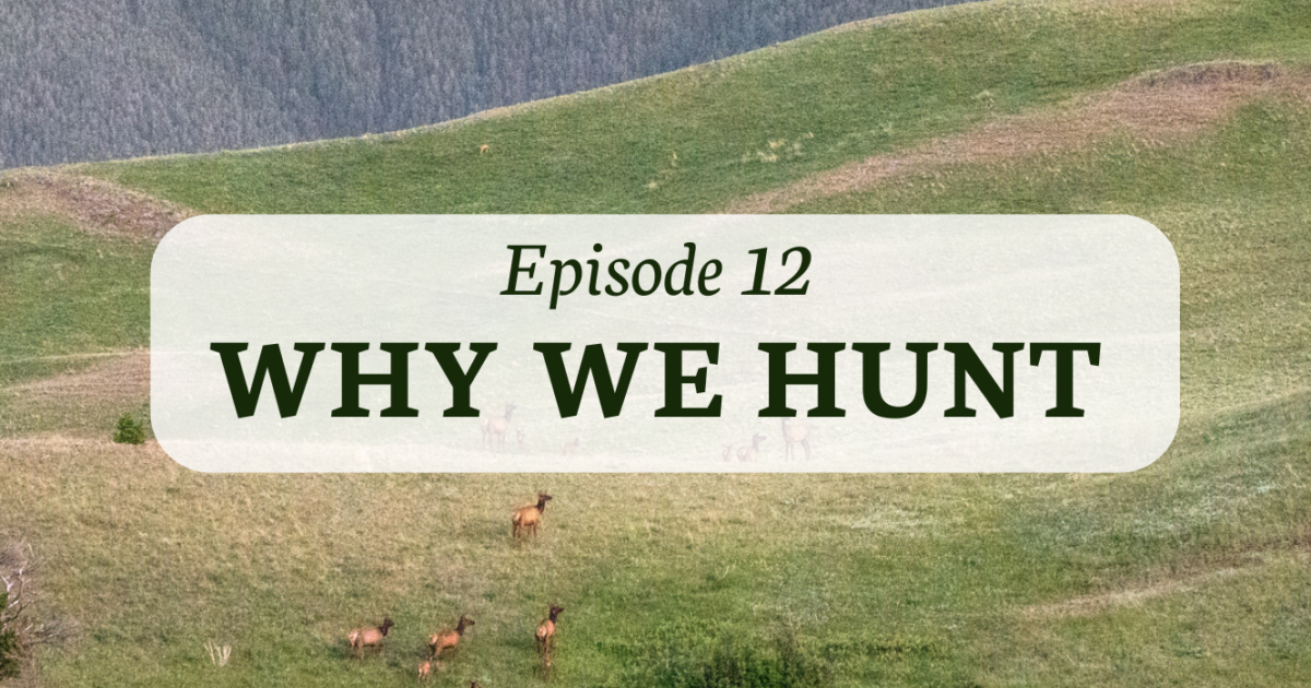 Land Investor Guide | Land Investor Podcast with Jason Matzinger and…